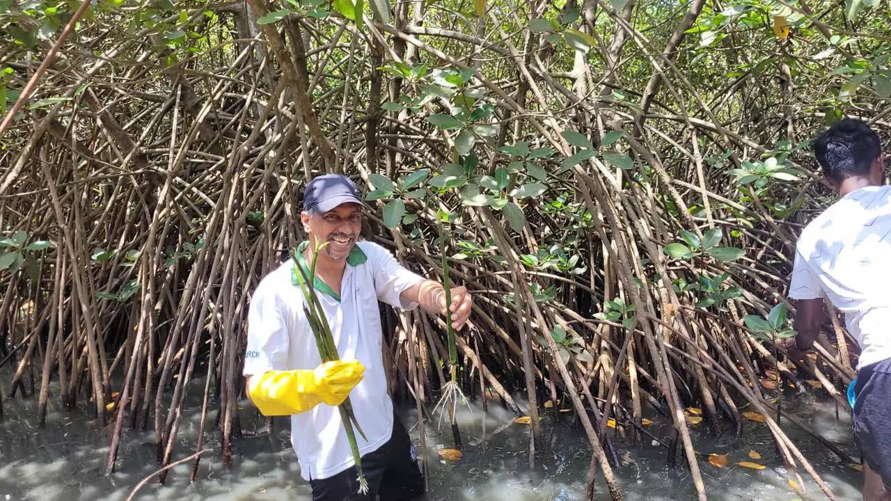 Verem, Goa: Map, Property Rates, Projects, Photos, Reviews, Info