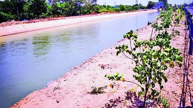 Daba Village, Ludhiana: Map, Property Rates, Projects, Photos, Reviews ...