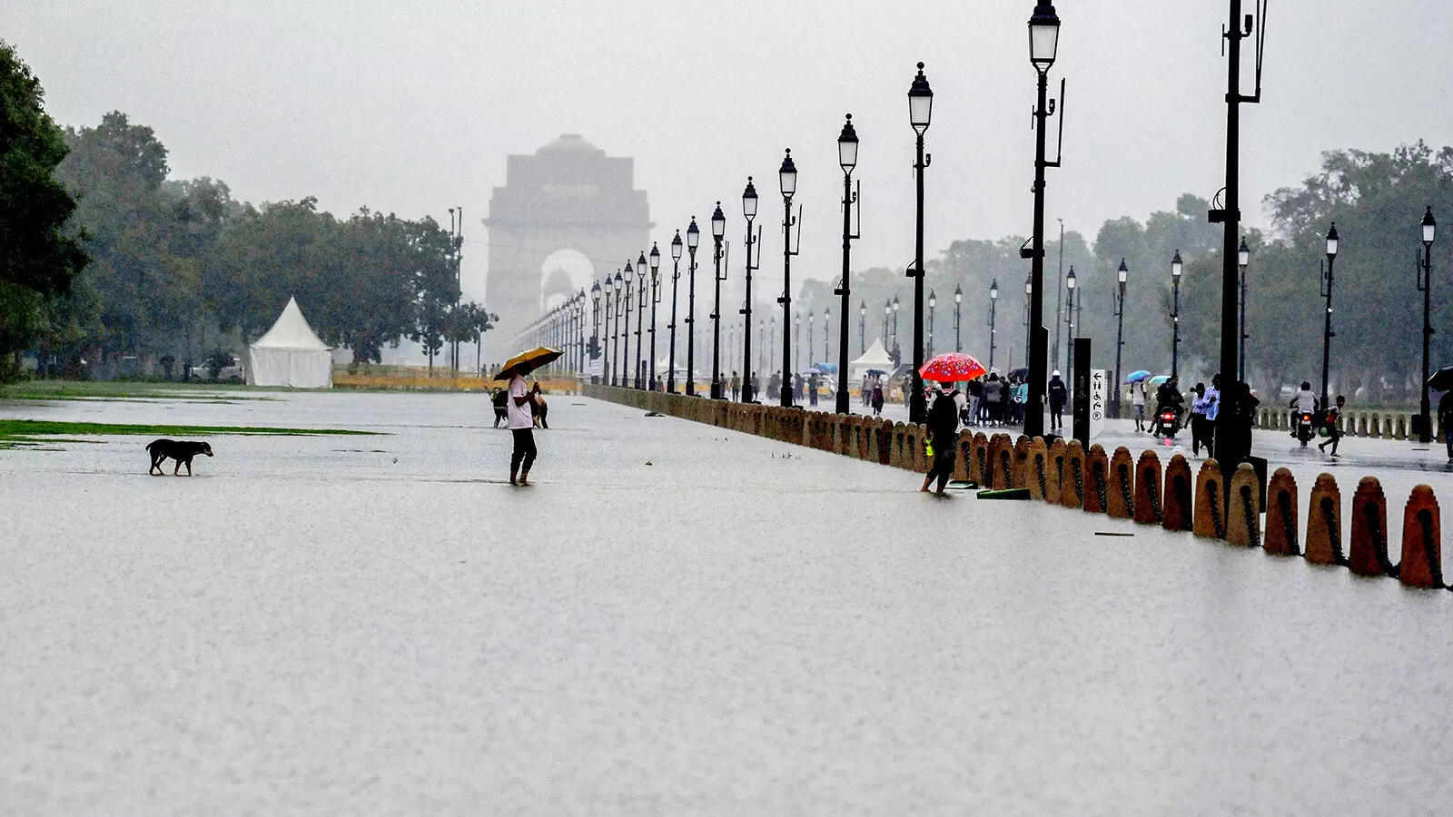 Chakghat, Rewa: Map, Property Rates, Projects, Photos, Reviews, Info