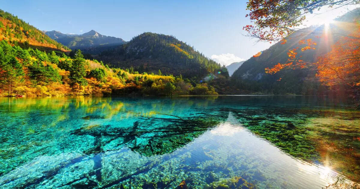 Top Beautiful Nature Wallpaper