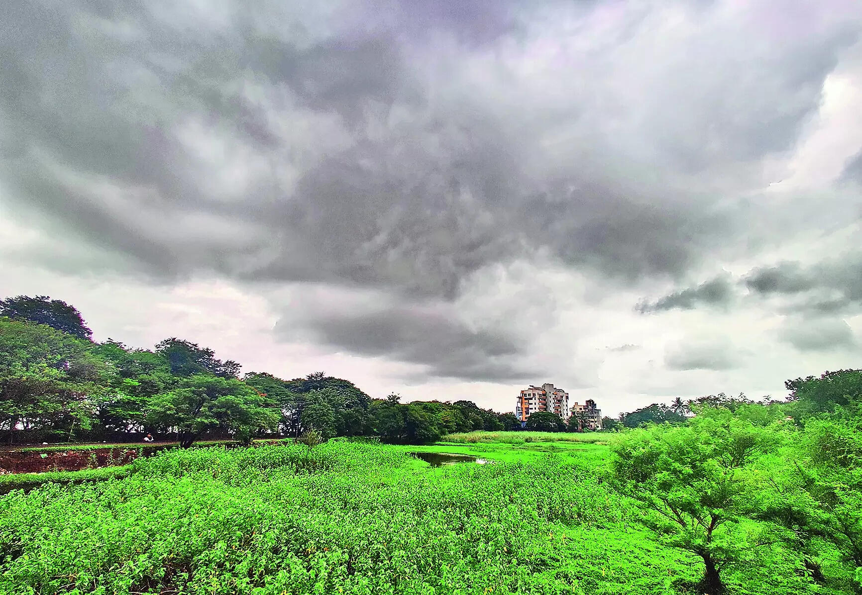 Sane Guruji Vasahat, Kolhapur: Map, Property Rates, Projects, Photos ...