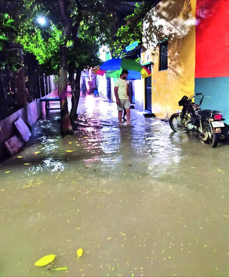 Swarn Bagh Colony, Indore: Map, Property Rates, Projects, Photos ...