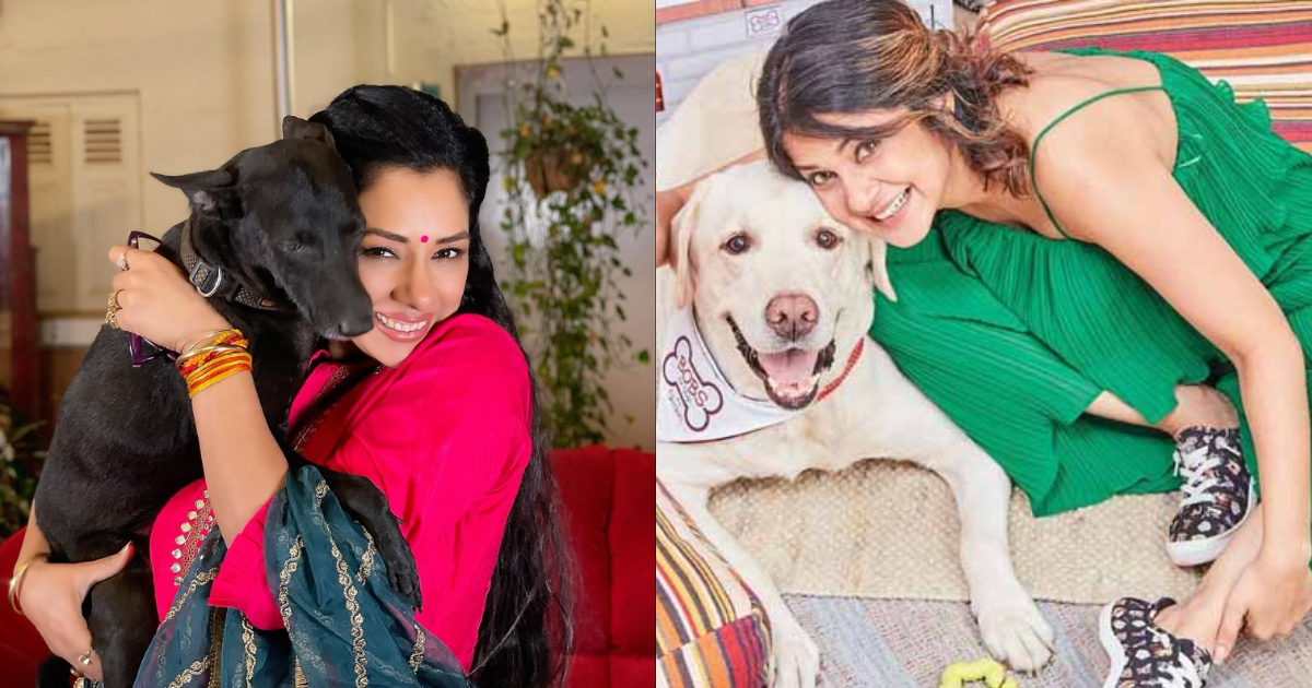 TV celebs and their adorable pet dogs | Times of India