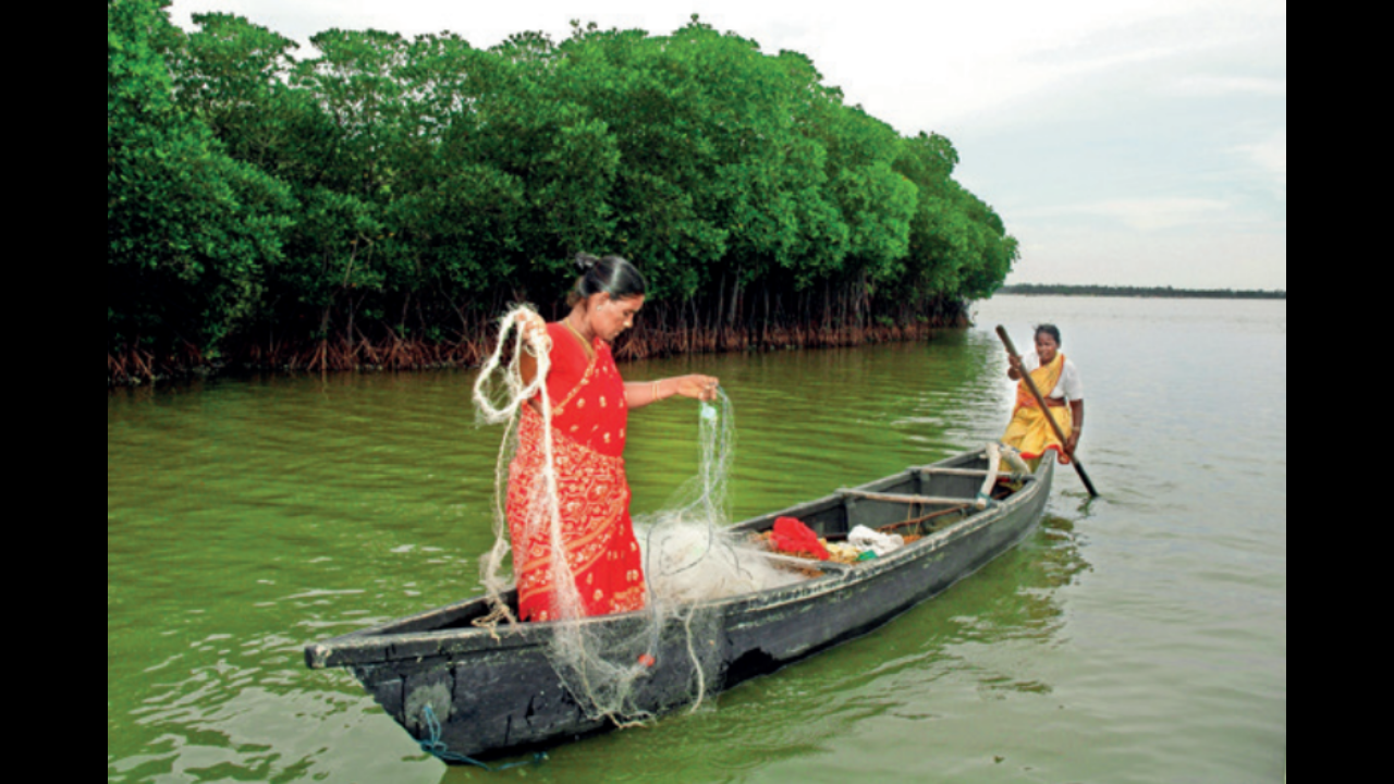 MMDA Colony Balavinayagar Nagar, Chennai: Map, Property Rates, Projects ...