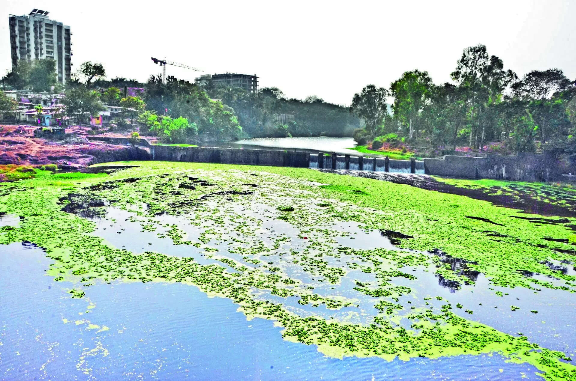 Kalwan, Nashik: Map, Property Rates, Projects, Photos, Reviews, Info