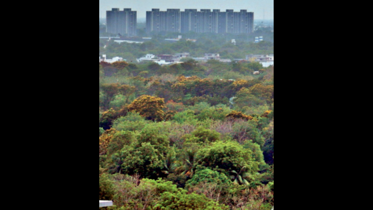 No space for disadvantaged in Chandlodia TP scheme | Ahmedabad News ...