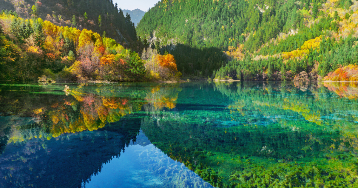 Asia’s most incredible national parks! | Times of India
