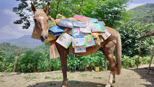 Biaora, Hoshangabad: Map, Property Rates, Projects, Photos, Reviews, Info