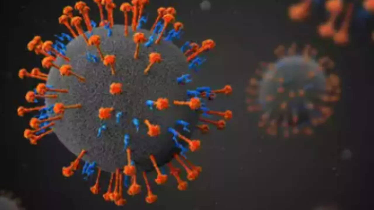 Gangoh, Saharanpur: Map, Property Rates, Projects, Photos, Reviews, Info