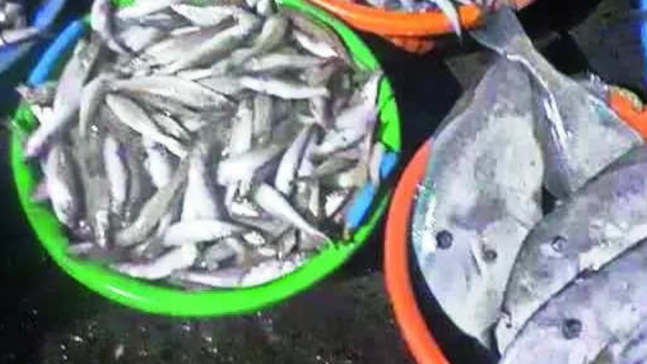 Belvender, Chennai: Map, Property Rates, Projects, Photos, Reviews, Info