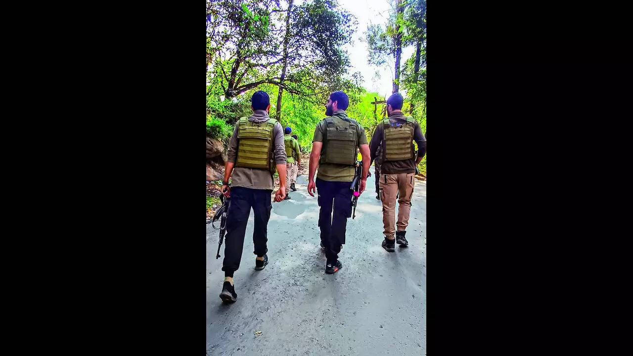 Rajbagh, Srinagar: Map, Property Rates, Projects, Photos, Reviews, Info