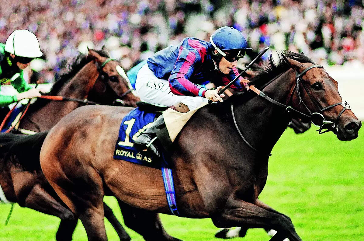 HUDA Layout, Hyderabad: Map, Property Rates, Projects, Photos, Reviews ...