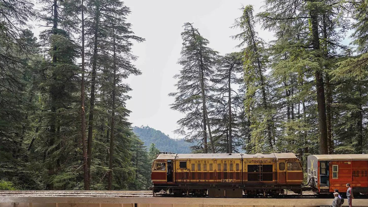 Chaurai, Chhindwara: Map, Property Rates, Projects, Photos, Reviews, Info