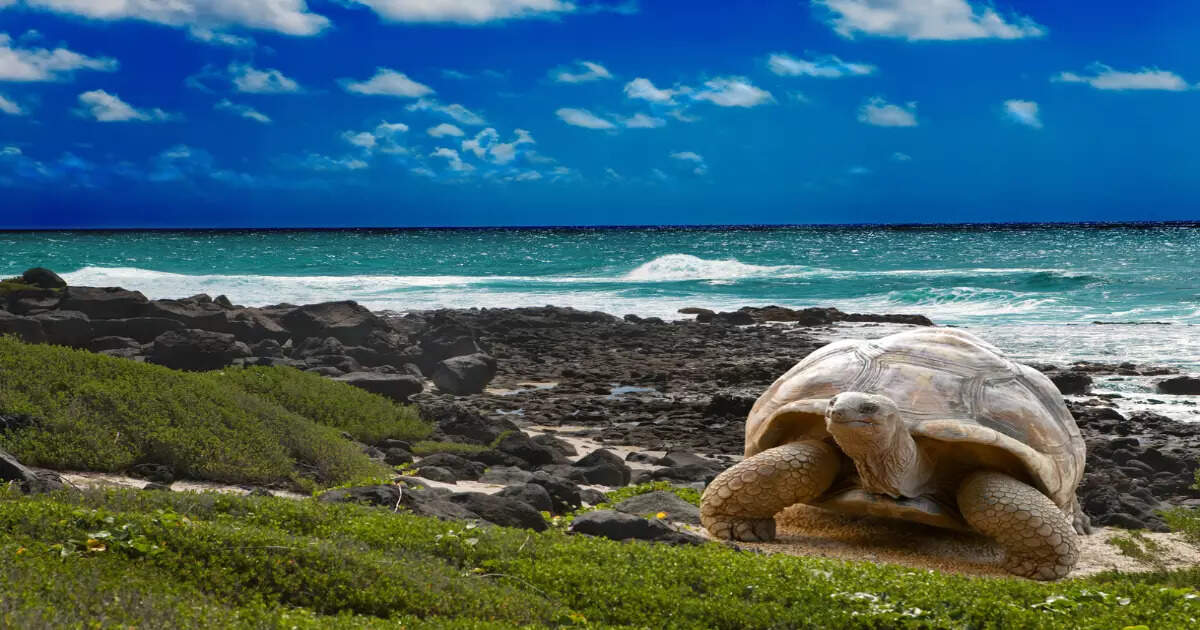 Most famous ecotourism sites in the world | Times of India