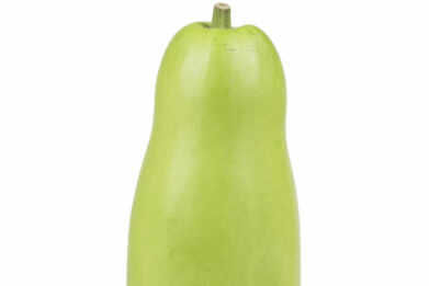 Don't mix lauki with other veggies - Times of India