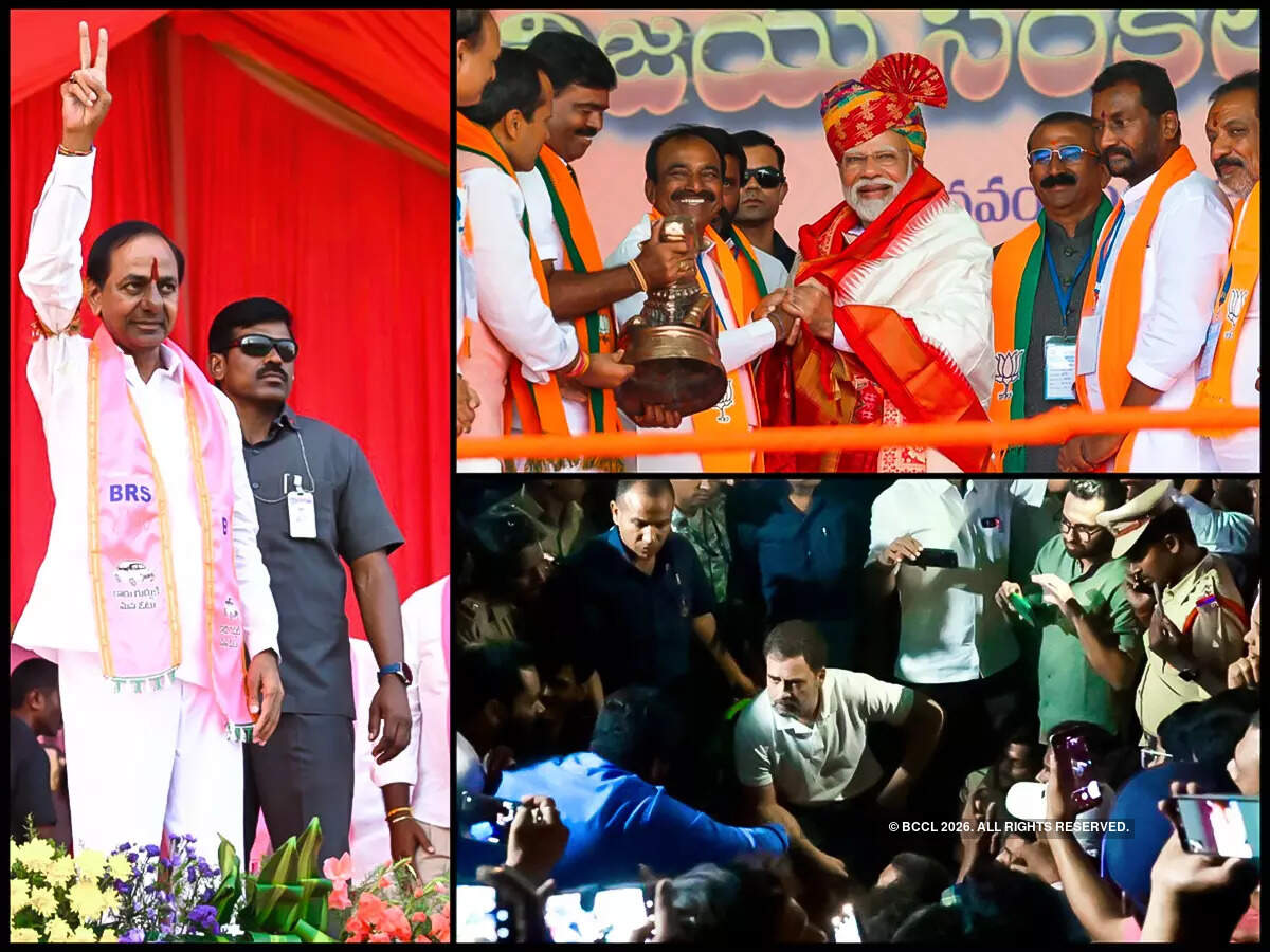 Bera, Pali: Map, Property Rates, Projects, Photos, Reviews, Info