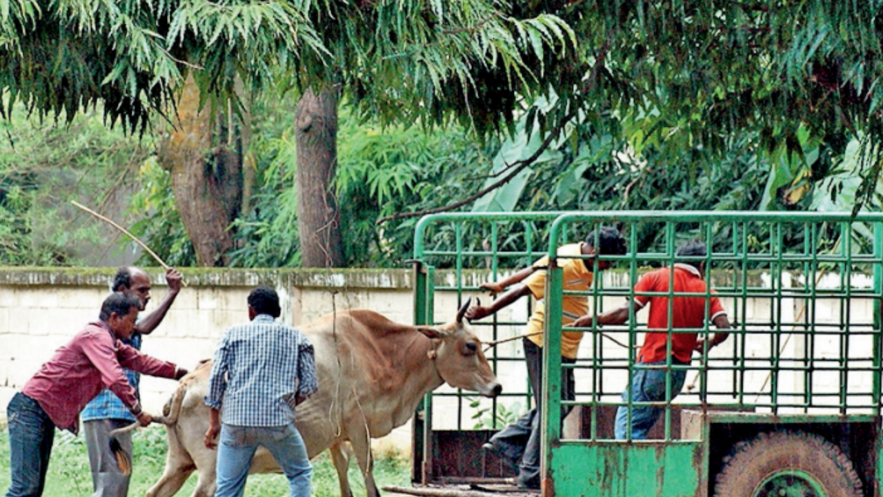 Sahaspur, Bhubaneswar: Map, Property Rates, Projects, Photos, Reviews, Info