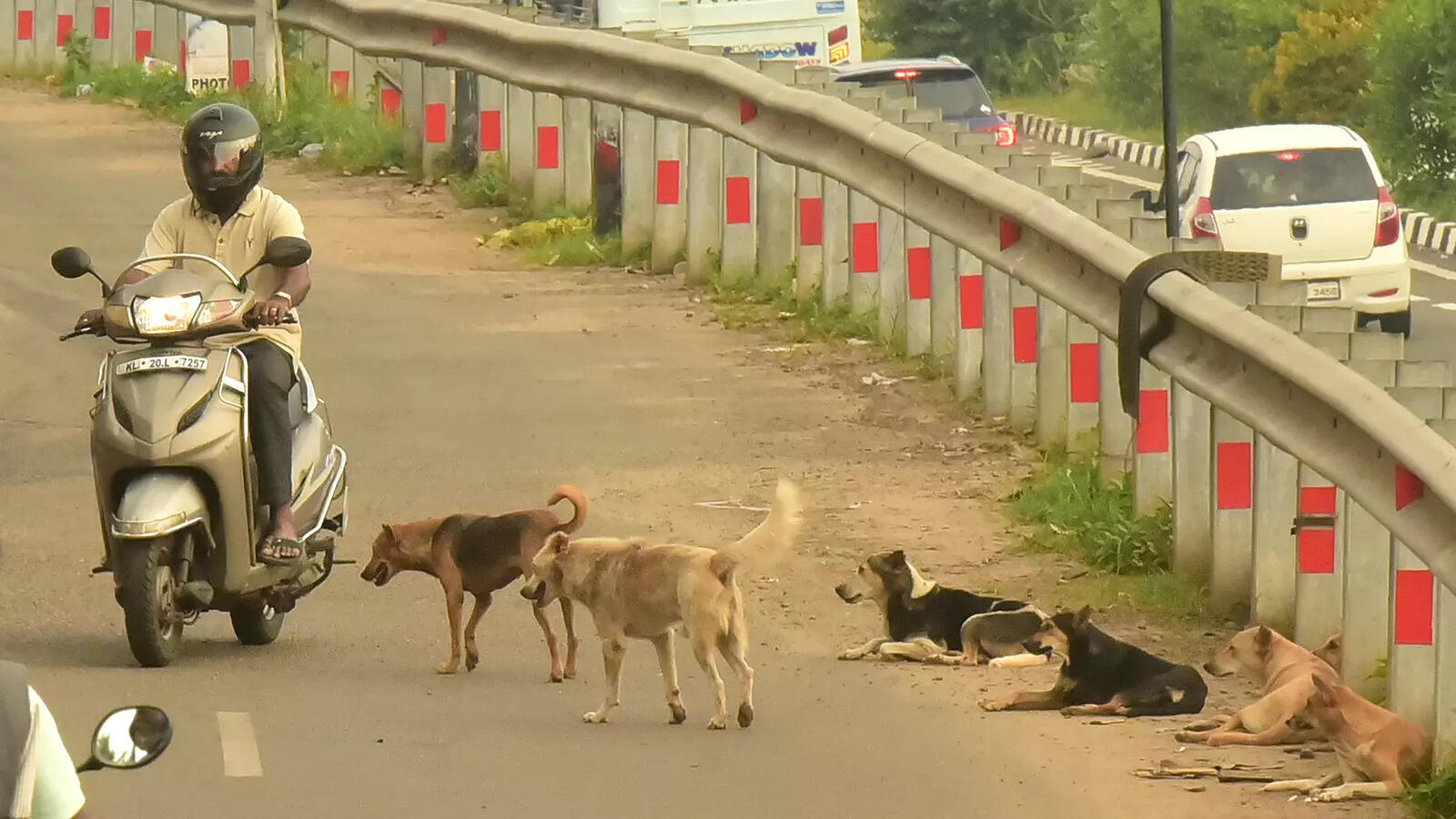 Seed Farm Pakka Road, Abohar: Map, Property Rates, Projects, Photos ...