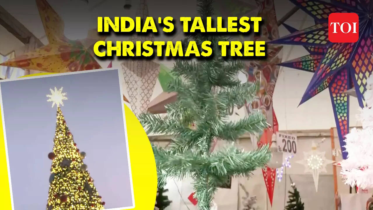 Bengaluru dazzles with India’s tallest Christmas tree to celebrate ...