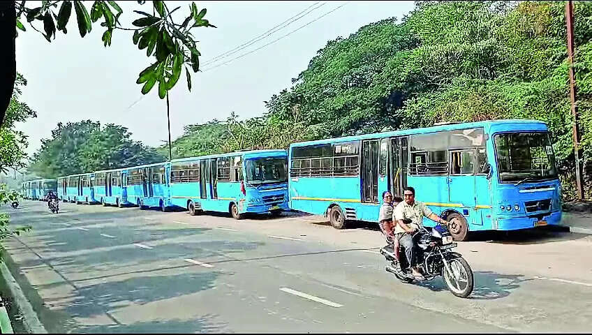 Mandvi, Surat: Map, Property Rates, Projects, Photos, Reviews, Info