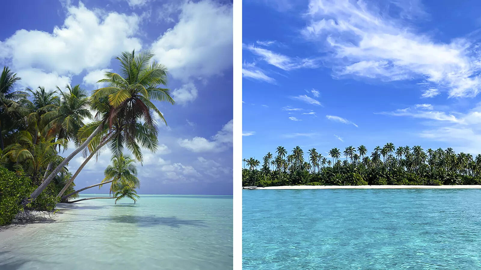 ZIRAKPUR, Zirakpur: Map, Property Rates, Projects, Photos, Reviews, Info