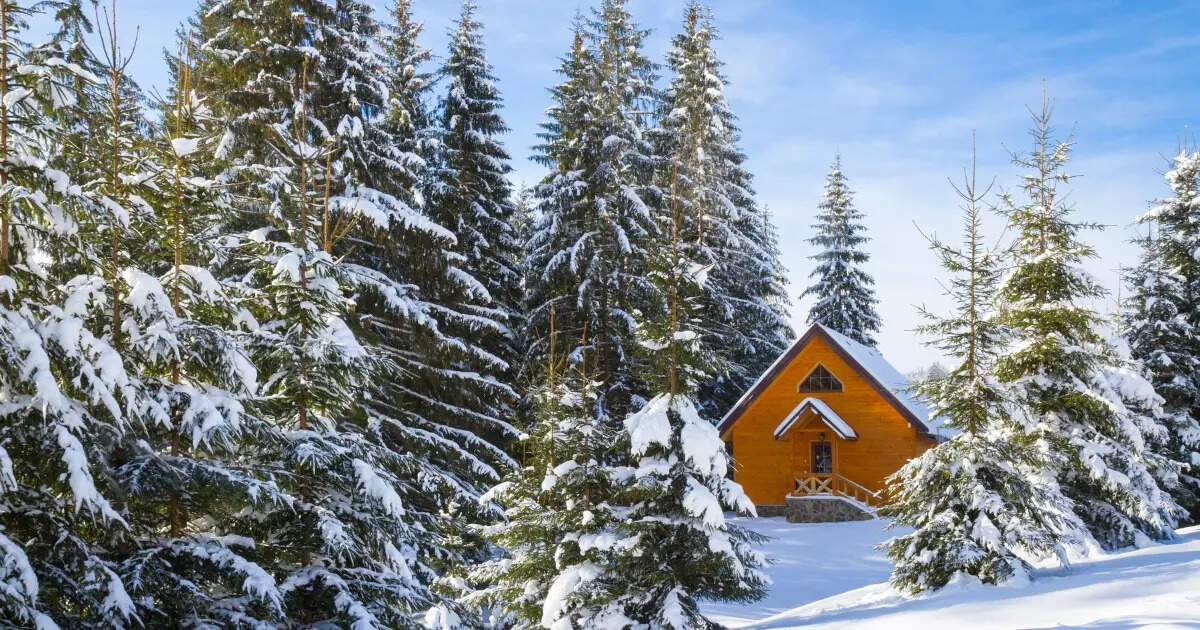 Best winter scenes from around the world | Times of India