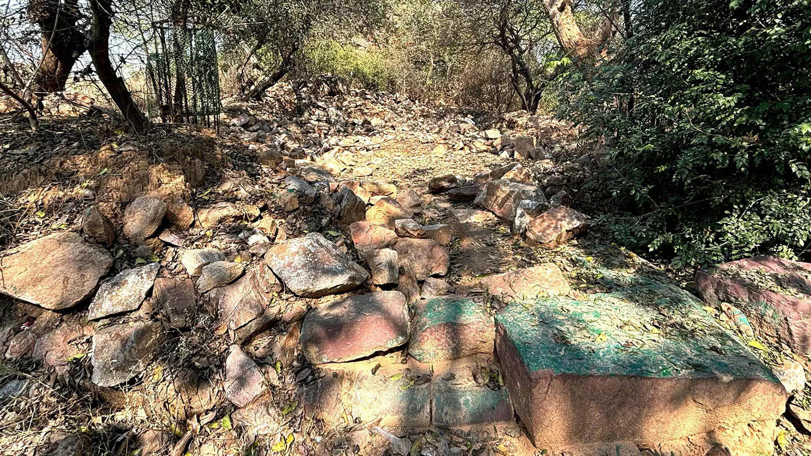 Samaspur Village, New Delhi: Map, Property Rates, Projects, Photos ...