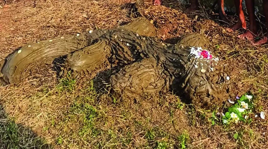 Verna, Goa: Map, Property Rates, Projects, Photos, Reviews, Info