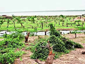 Sector 7 CDA, Cuttack: Map, Property Rates, Projects, Photos, Reviews, Info