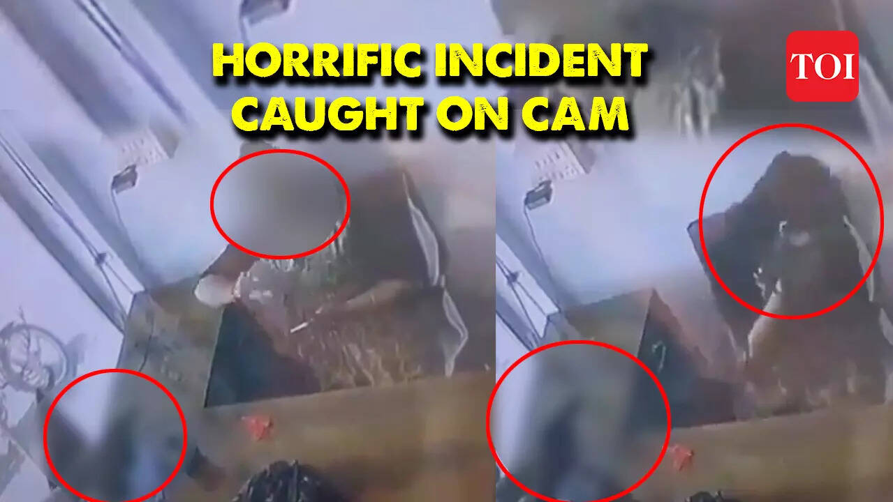 Instagram influencer shot dead by husband in Rajasthan's Phalodi ...