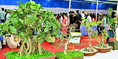 Balalong, Ranchi: Map, Property Rates, Projects, Photos, Reviews, Info