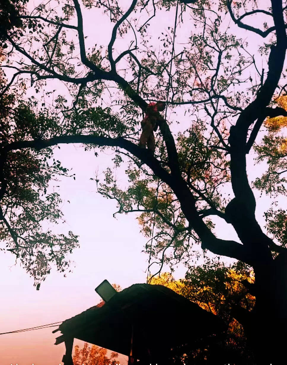 Savindane, Pune: Map, Property Rates, Projects, Photos, Reviews, Info