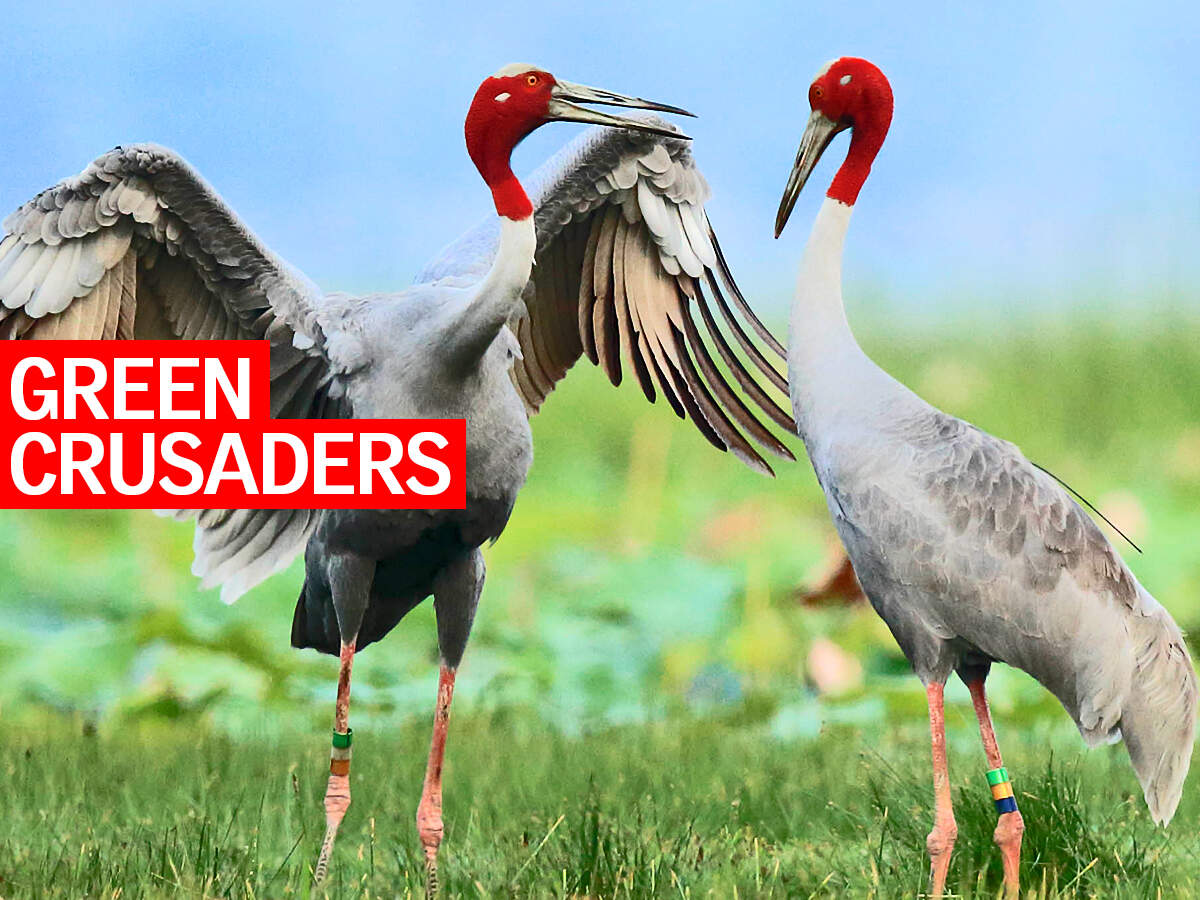 Mandi Bypass Road, Haldwani: Map, Property Rates, Projects, Photos ...