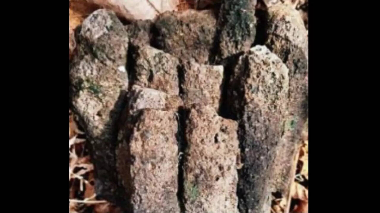 Sabza Colony, Hyderabad: Map, Property Rates, Projects, Photos, Reviews ...