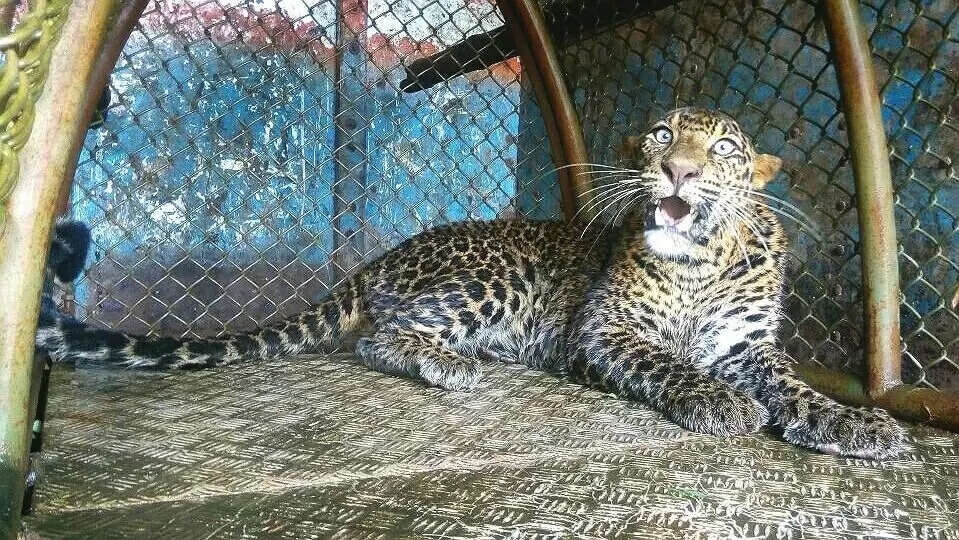 National Highway 48, Pune: Map, Property Rates, Projects, Photos ...