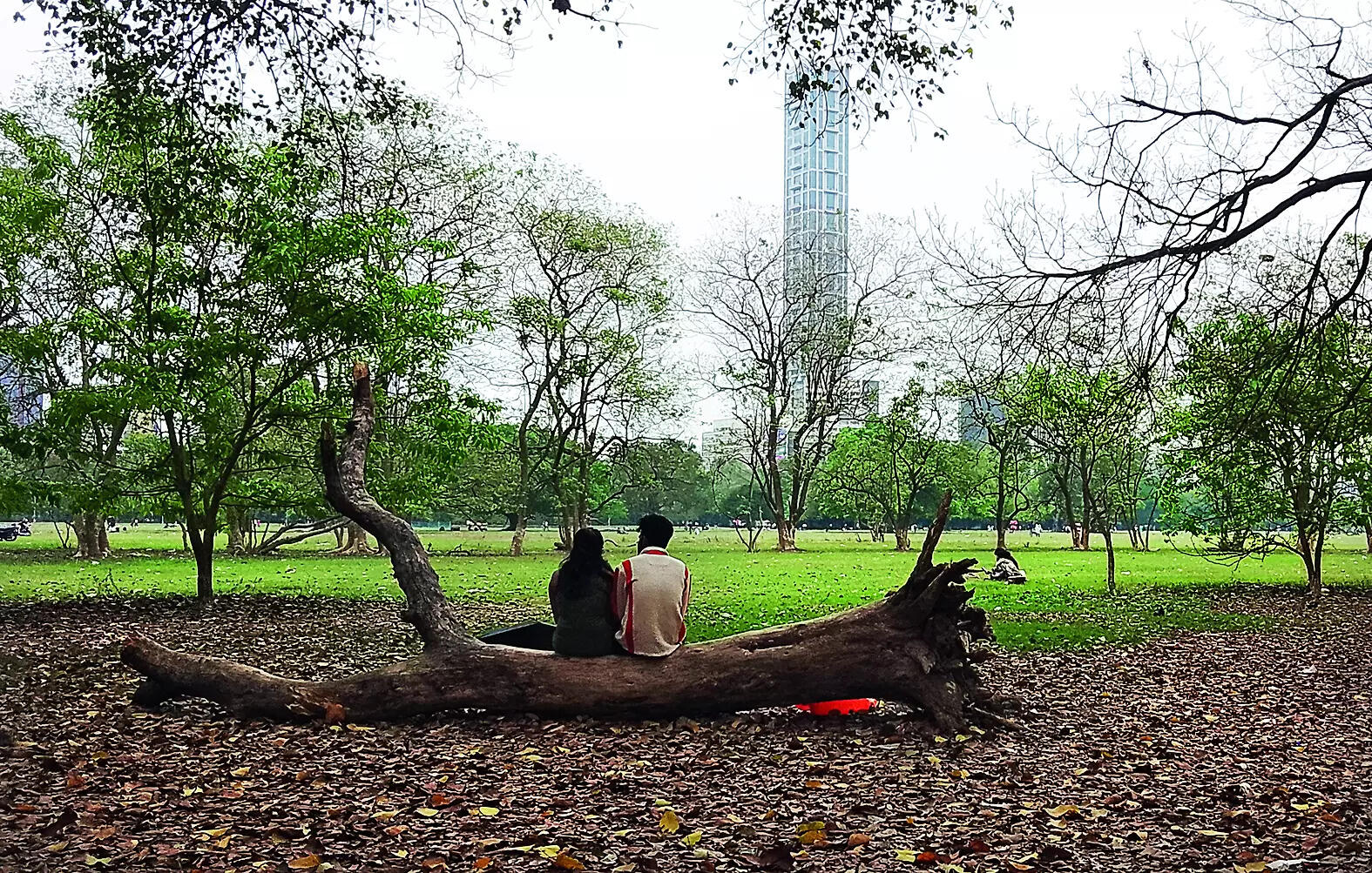 Dr APJ Abdul Kalam Road, Kolkata: Map, Property Rates, Projects, Photos ...