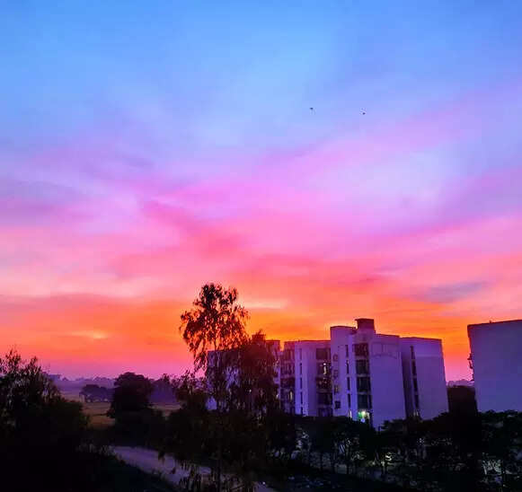 Shriji Valley, Indore: Map, Property Rates, Projects, Photos, Reviews, Info