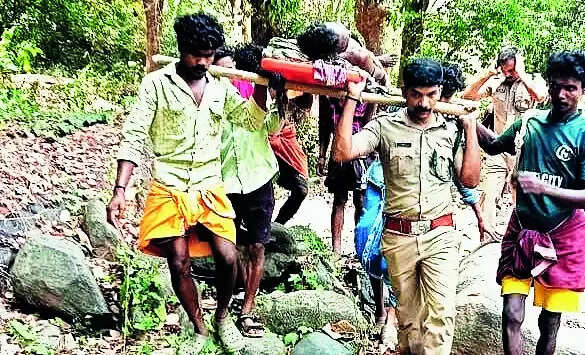 Vengalam, Kozhikode: Map, Property Rates, Projects, Photos, Reviews, Info