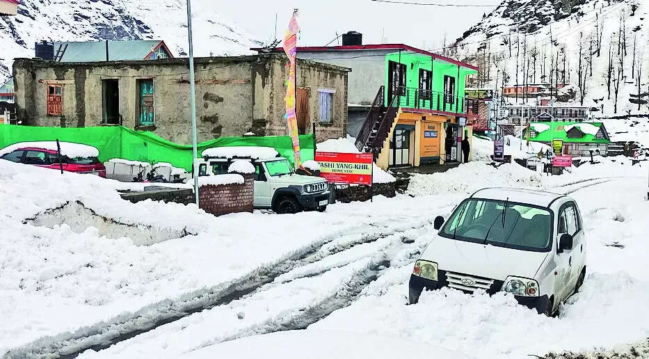 Jubbal, Shimla: Map, Property Rates, Projects, Photos, Reviews, Info