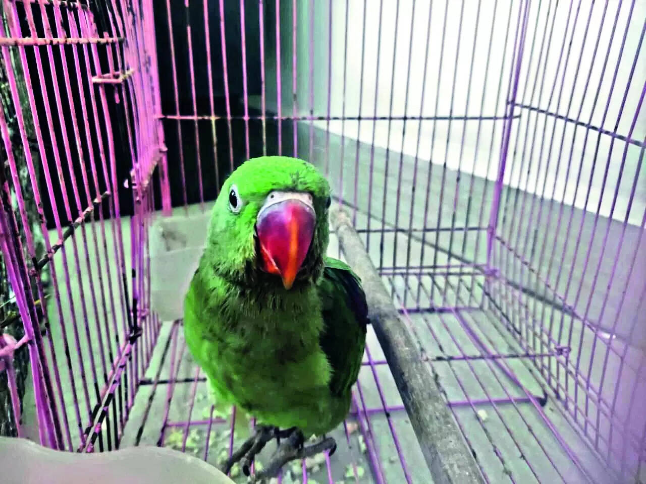 New Timber Market, Pune: Map, Property Rates, Projects, Photos, Reviews ...