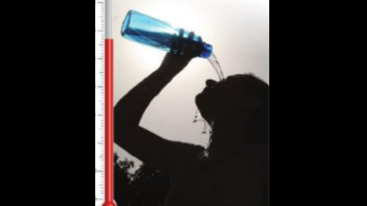 Velim, Goa: Map, Property Rates, Projects, Photos, Reviews, Info