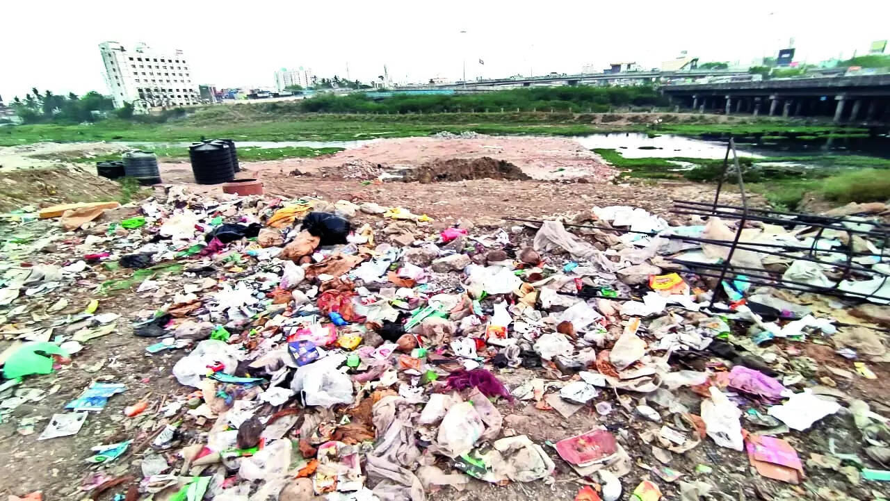 Sardar Patel Road, Chennai: Map, Property Rates, Projects, Photos ...