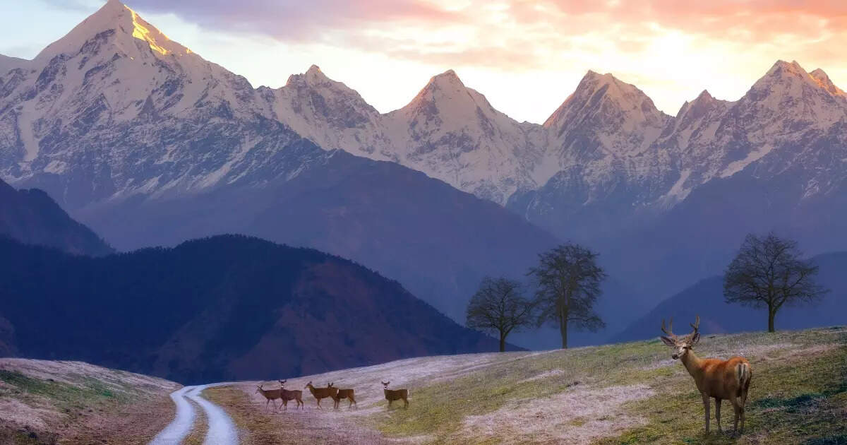 Indian destinations with great mountain views | Times of India