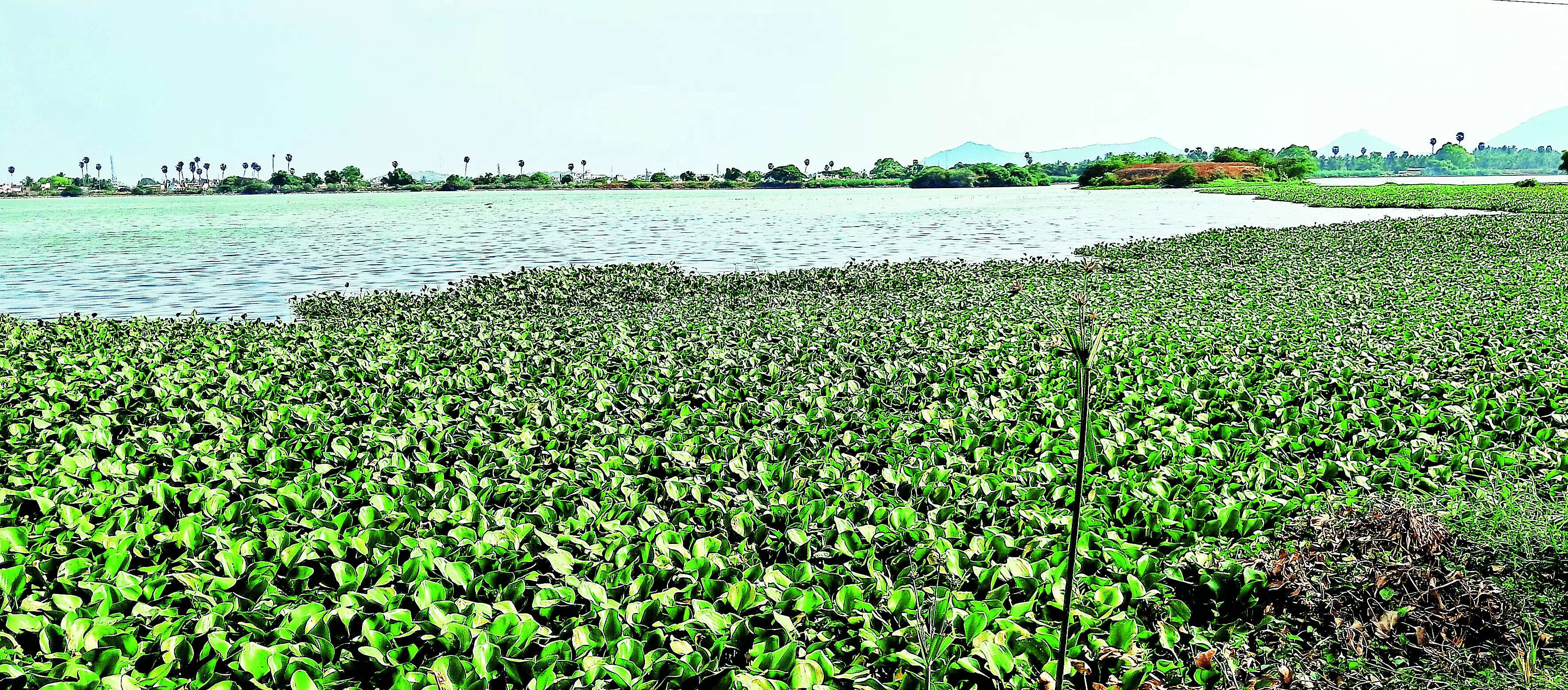 Vattamalai Palayam Road, Coimbatore: Map, Property Rates, Projects ...