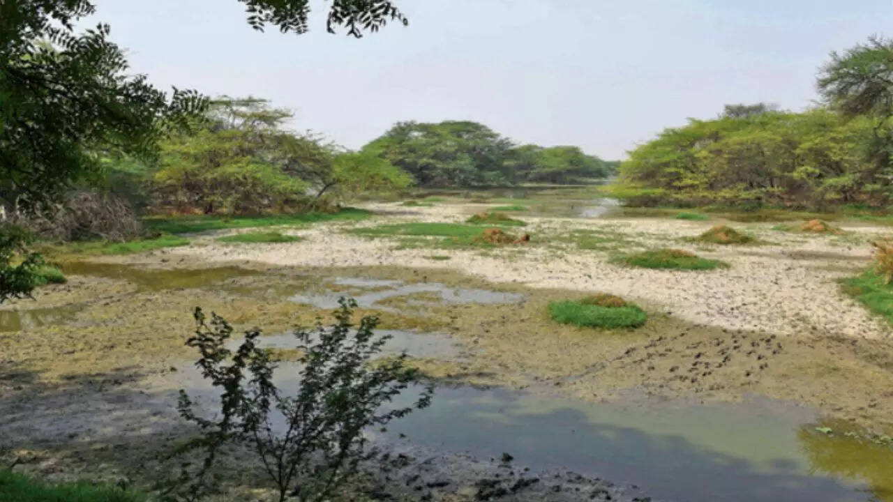 Balaha Road, Gurgaon: Map, Property Rates, Projects, Photos, Reviews, Info