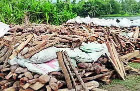 Varapuzha, Kochi: Map, Property Rates, Projects, Photos, Reviews, Info