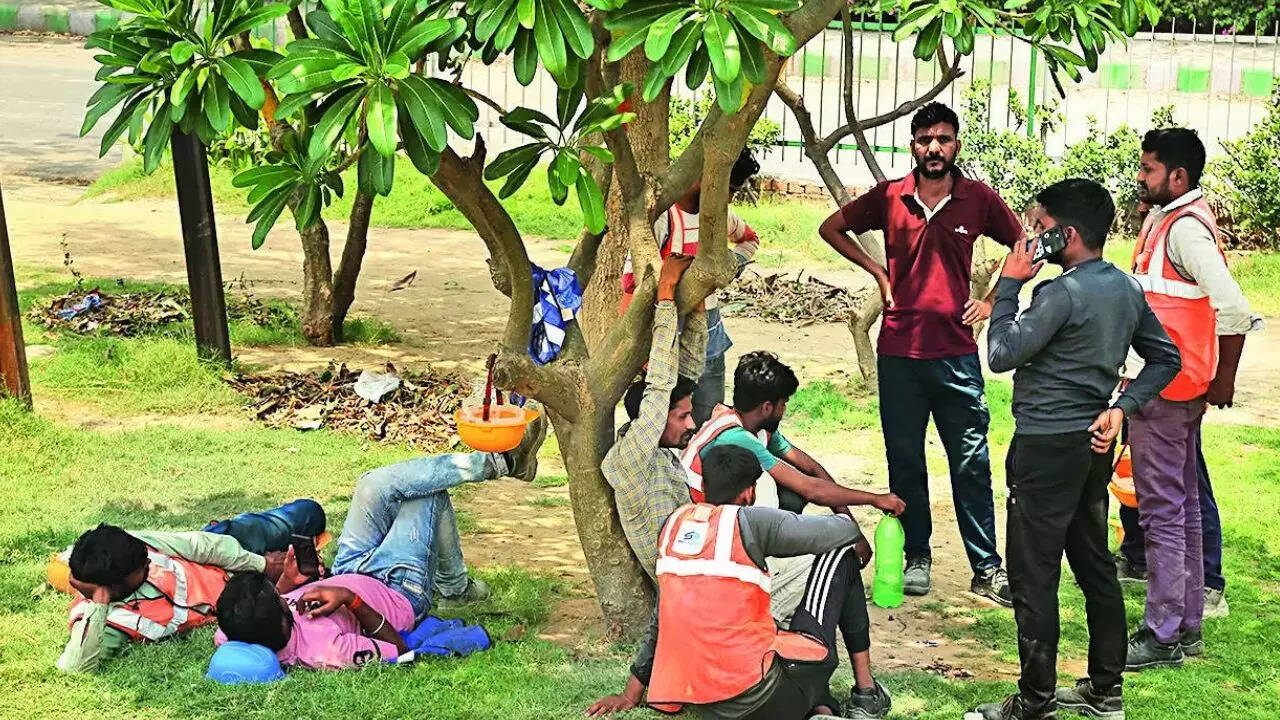 Nilothi Village, New Delhi: Map, Property Rates, Projects, Photos ...