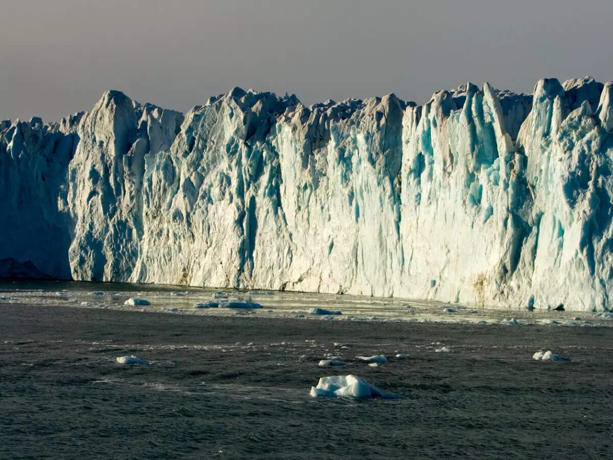 Sasoli, Goa: Map, Property Rates, Projects, Photos, Reviews, Info