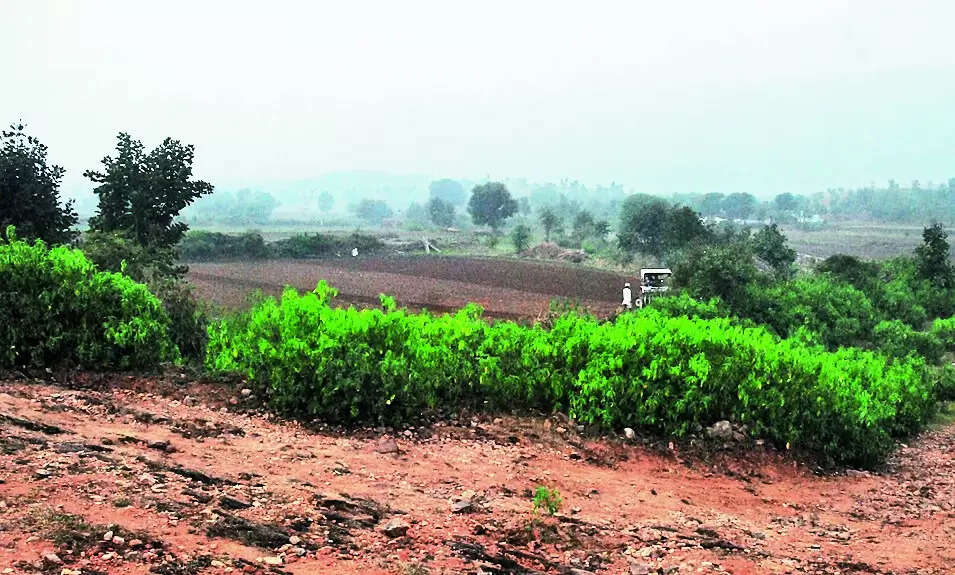 Sector 8 Pratap Nagar, Jaipur: Map, Property Rates, Projects, Photos ...