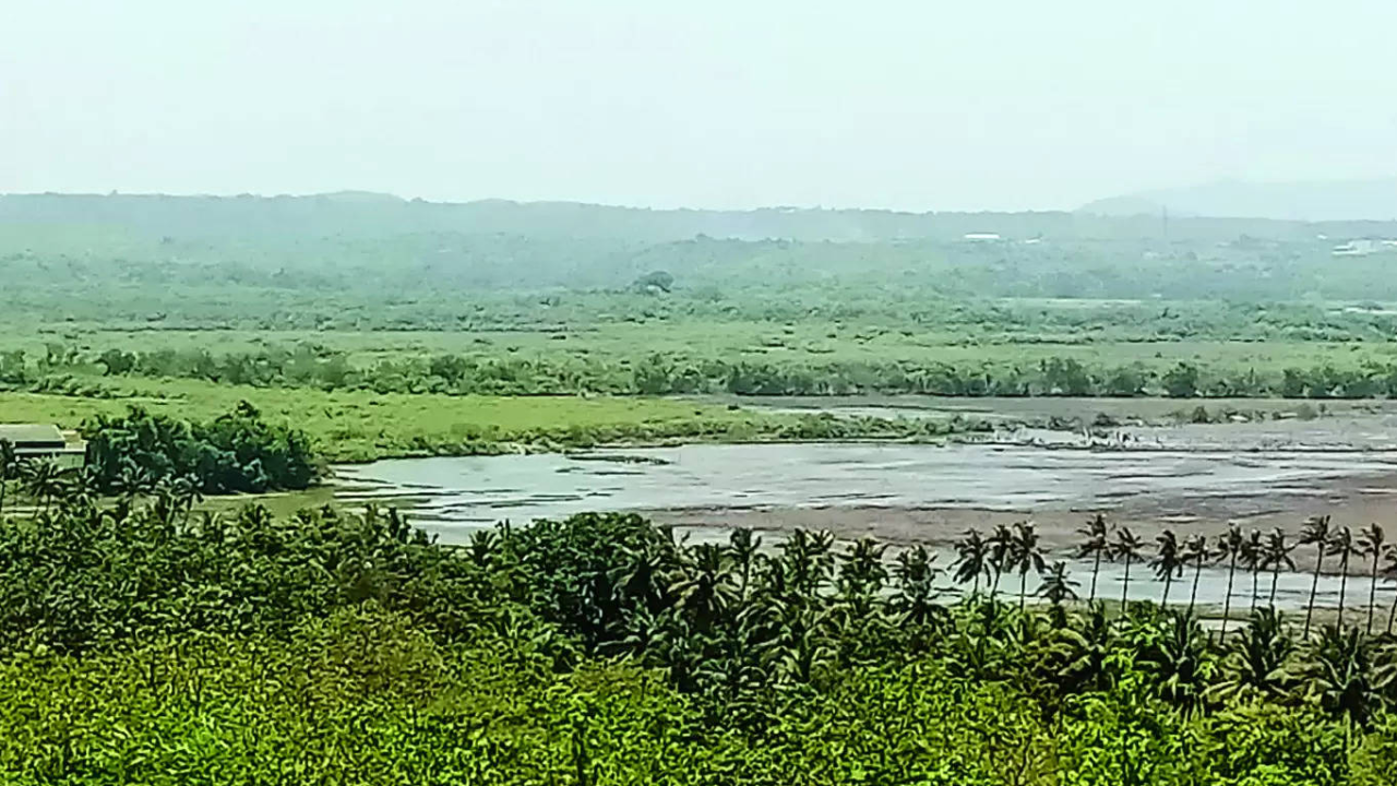Curtorim, Goa: Map, Property Rates, Projects, Photos, Reviews, Info
